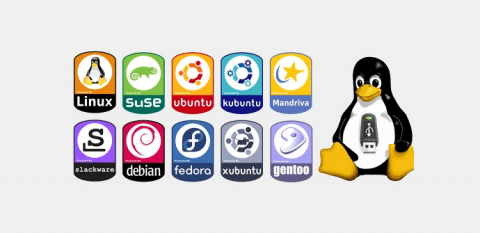 Linux es un sistema operativo vivo